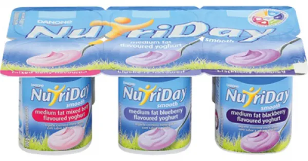Danone Nutriday Smooth Berry Medley Yoghurt 6x100g