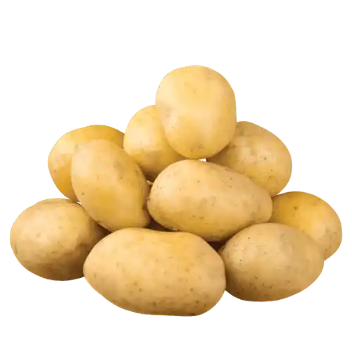 STRAND - 1-Up Cash and Carry